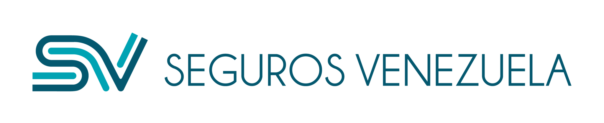 Seguros Venezuela - Inicio